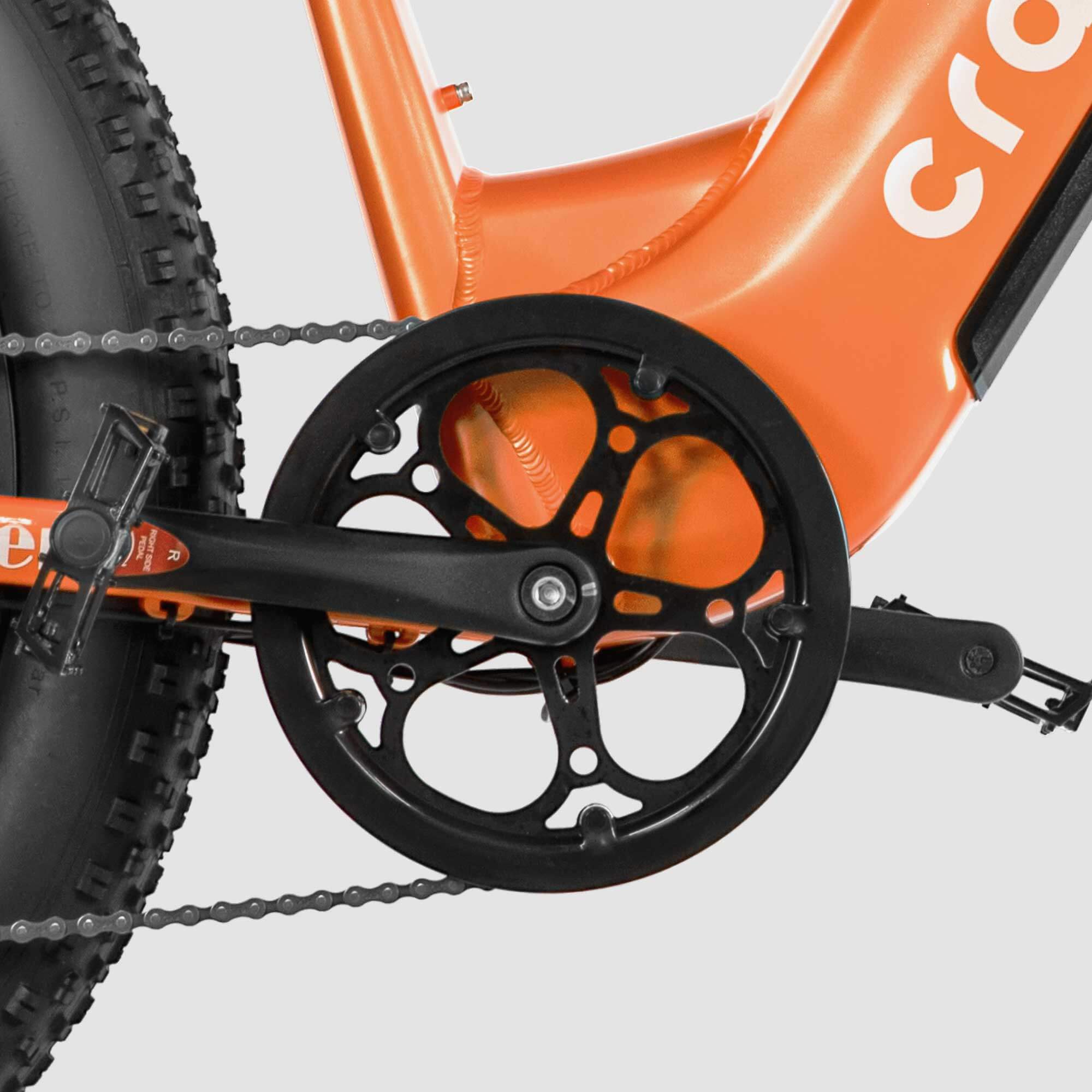 Crazybird-CB60 Electric Bike for Adults with 750W Motor 26" x 4.0 Fat ...