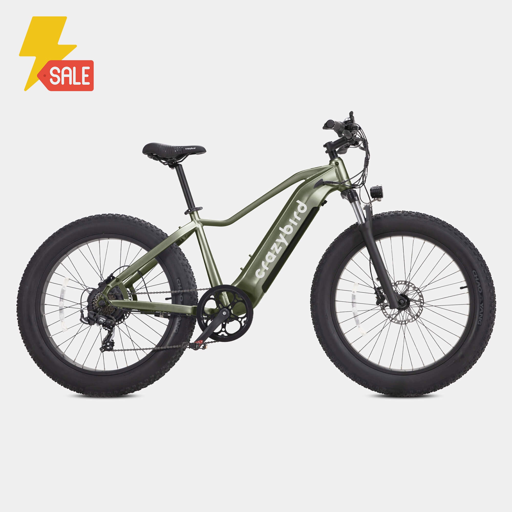 Crazybird-CB60 Electric Bike for Adults with 750W Motor 26" x 4.0 Fat ...